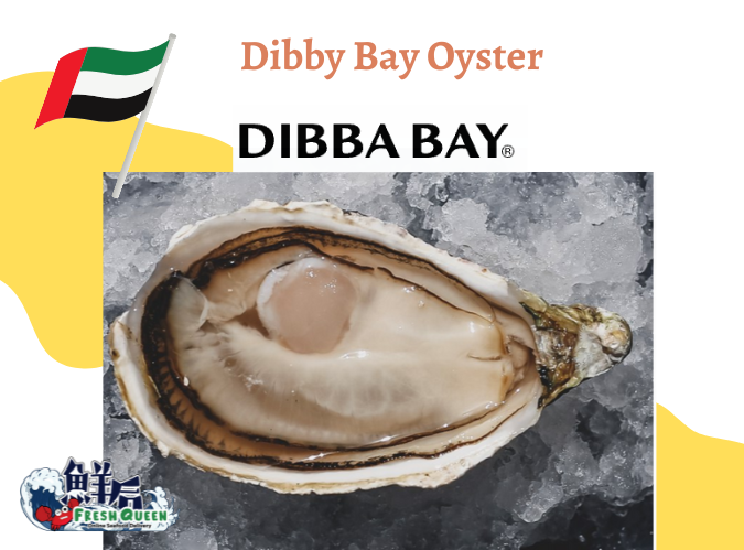 Dibba Bay Oyster