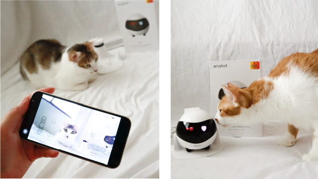 Ebo SE/Air 智慧居家攝影機