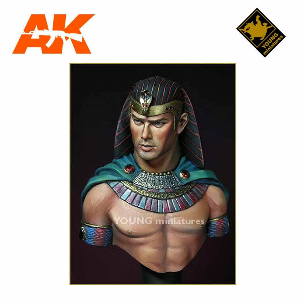 Young - RAMSES II BC 1279 bust 1/10