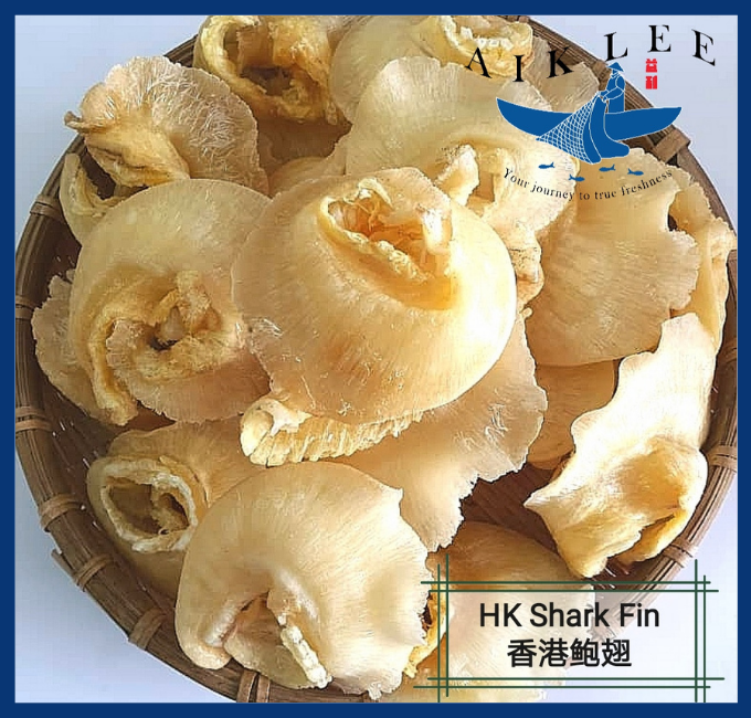 HK Shark Fin
