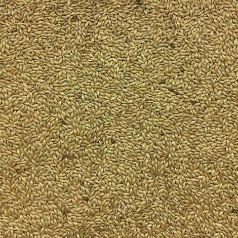 Canary Seed 3oz