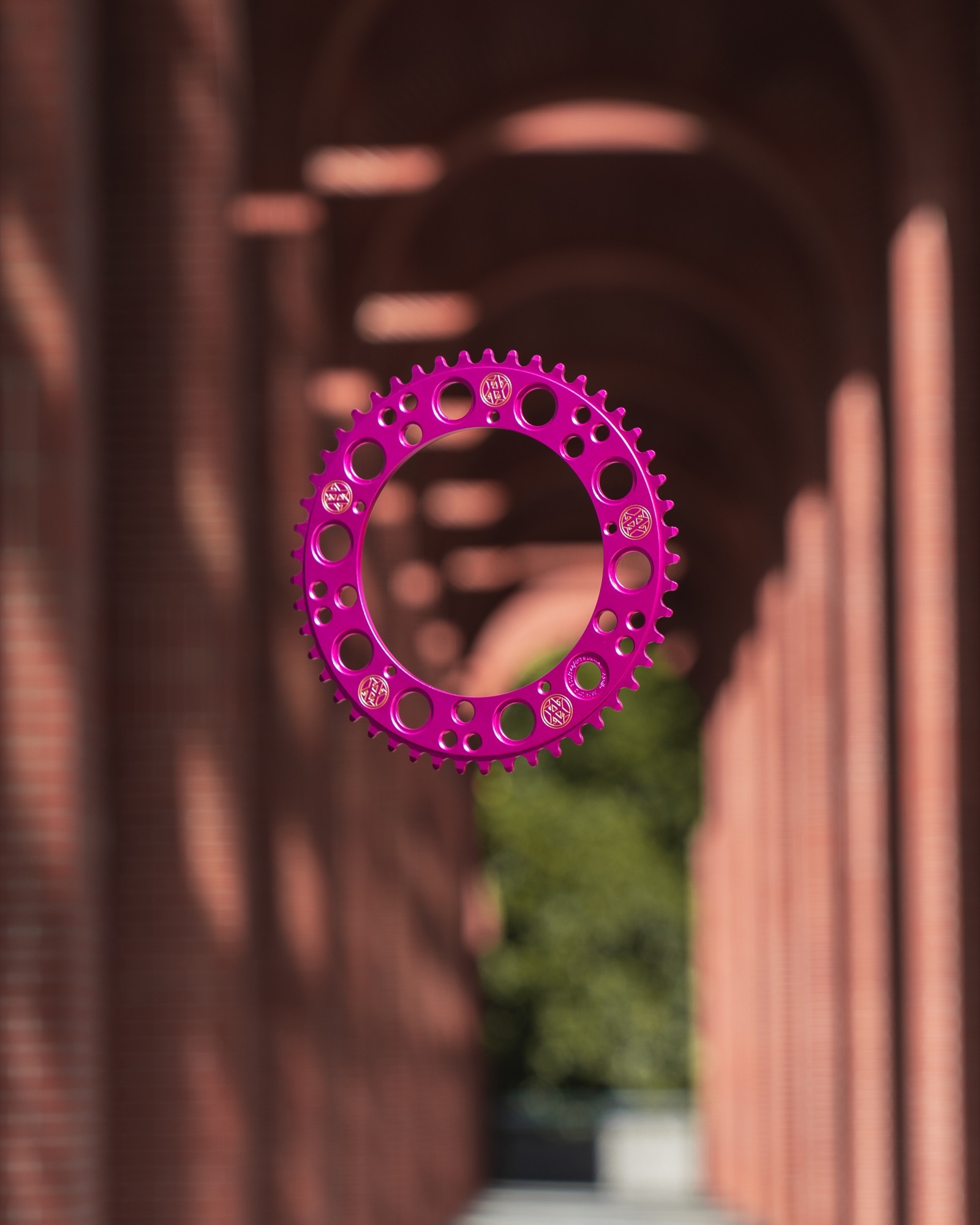 Alter Apollo 大盤 2021萬聖節限定粉