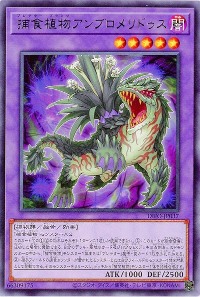 DIFO-JP037( R )捕食植物鳳梨食蟲谷精遊走鯨