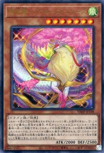 VJMP-JP198 (UR)華信龍 納吾肉孜伊莉絲