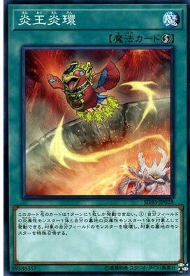 SD35-JP028 炎王炎環