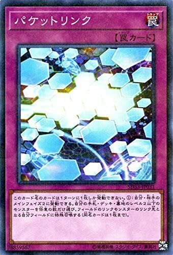 SD33-JP031(NPR)分組連接