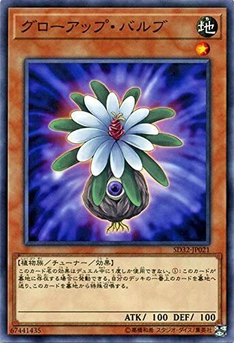 SD32-JP021 成長的鱗莖