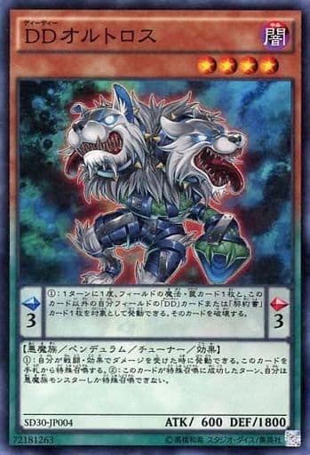 SD30-JP004(SR)DD 俄耳托斯