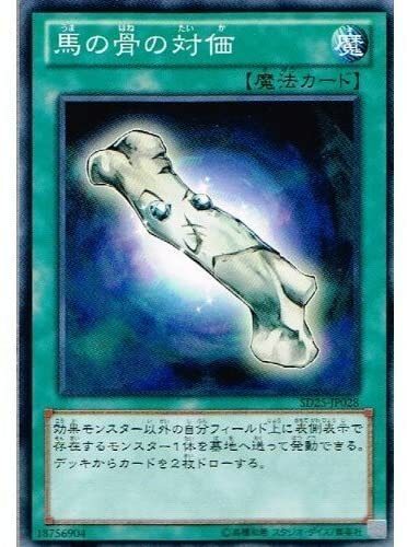 SD25-JP028 馬骨的對價