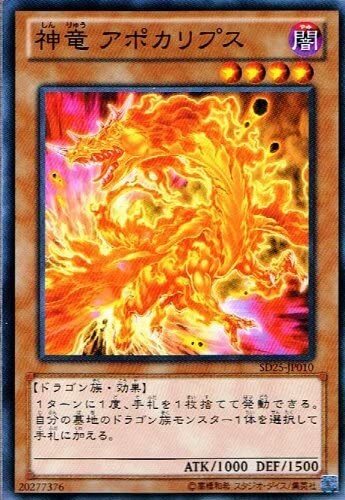 SD25-JP010 神龍默示龍