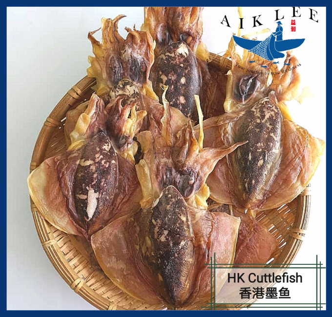 HK Cuttlefish