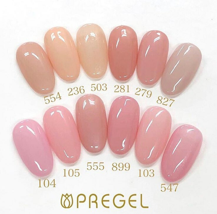 Pregel color gel 新春大吉🌸🌸