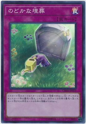 CHIM-JP077(SR)清閒的埋葬