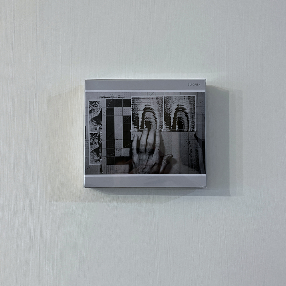 sakanaction 魚韻《ADAPT》（台壓初回限定CD+Blu-ray）