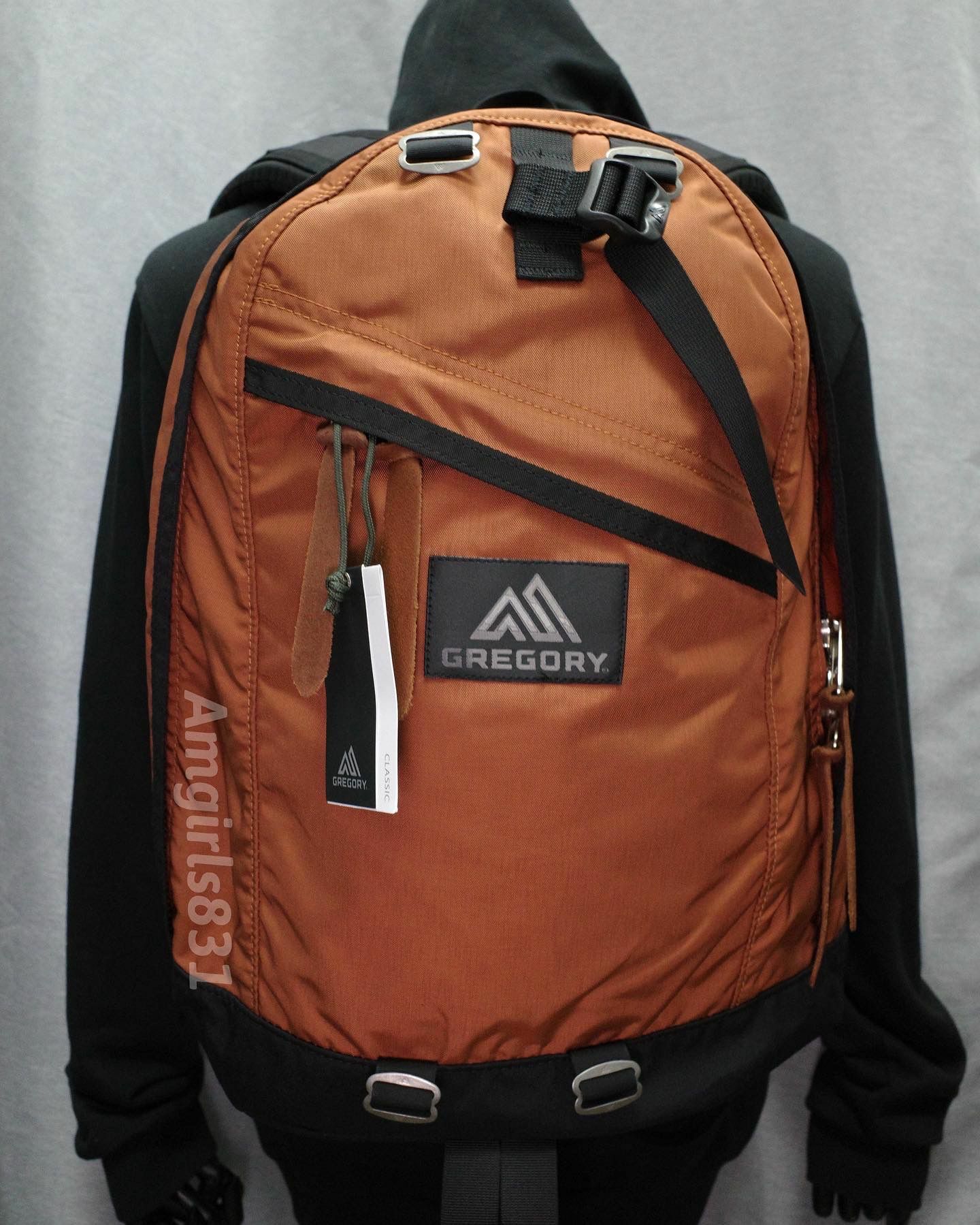 Gregory day pack Rust