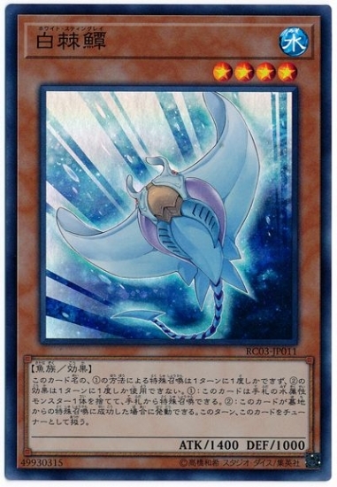 RC03-JP011 白棘鱏