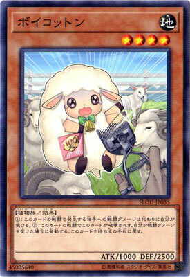 FLOD-JP035(NR)拒絕棉羊