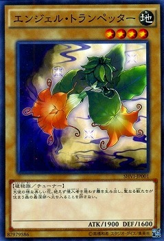 SHVI-JP001(NR) 曼陀羅天使號手