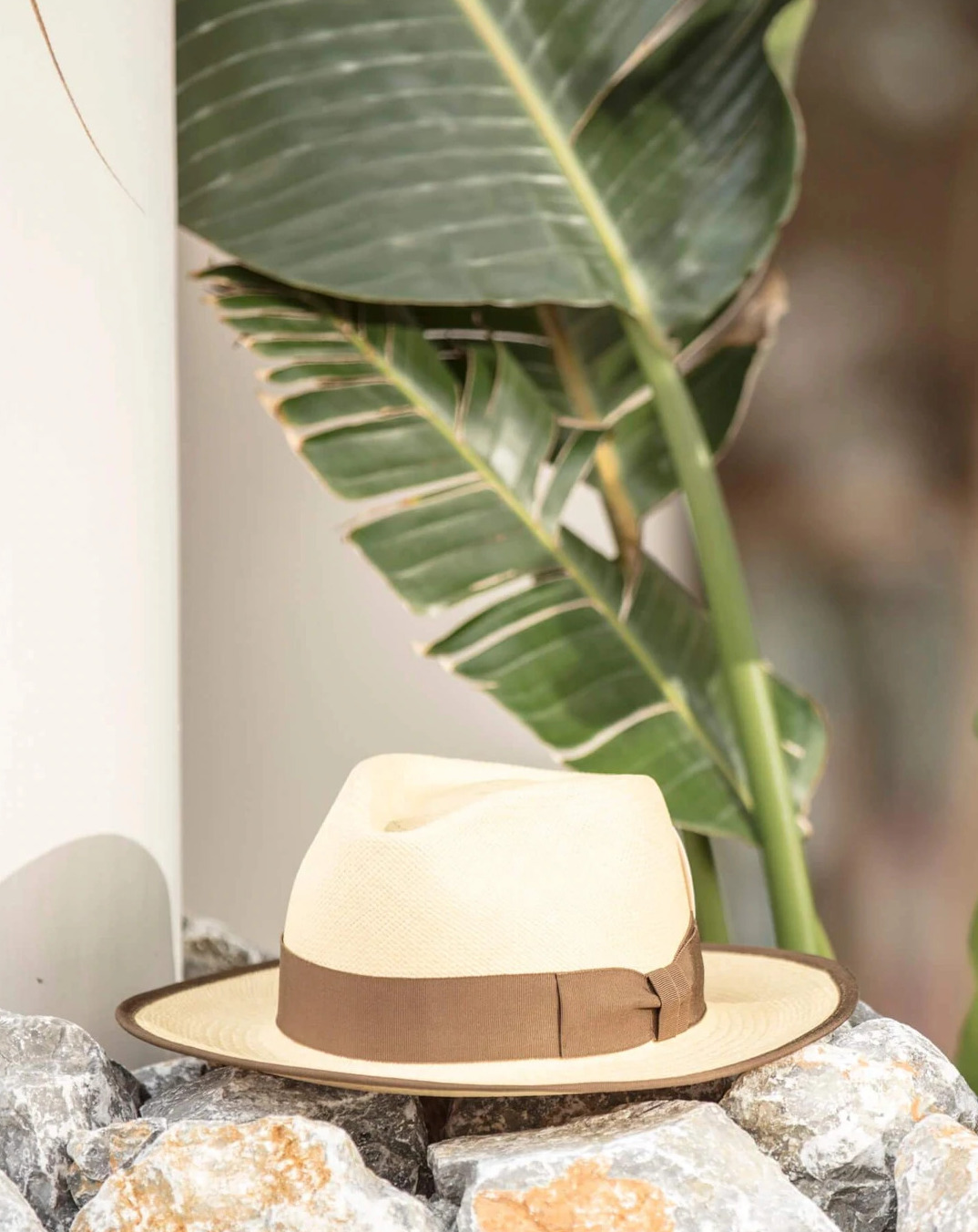 Panama Hat