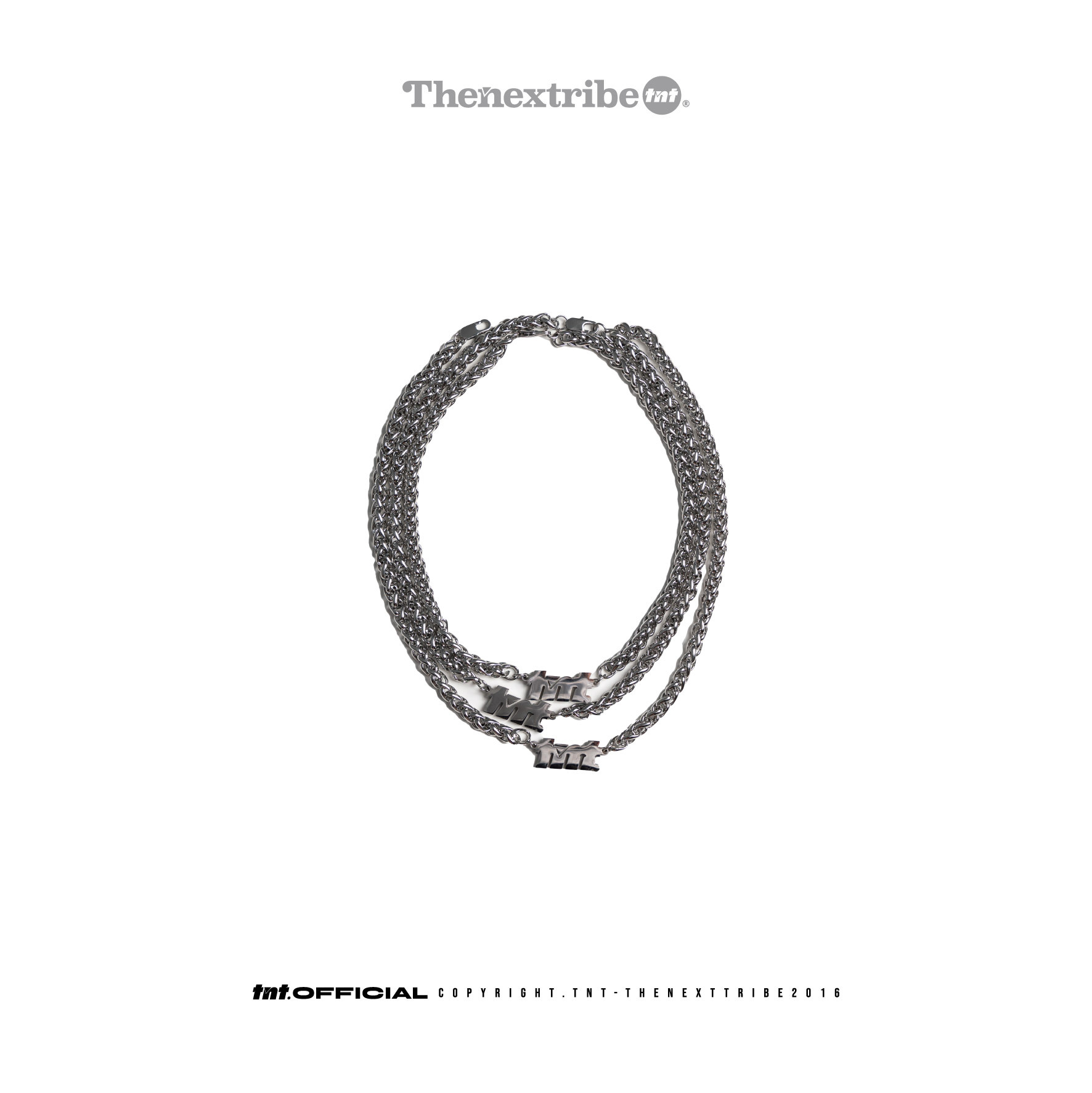𝘁𝗻𝘁® 𝗦/𝗦 𝟮𝟮 tnt Logo Rope Chain ⚠︎︎(麻花鈦鋼鍊)