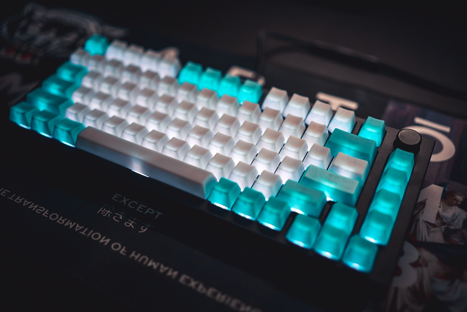 Taihao DoubleShot Keycaps,Gaming Keycaps