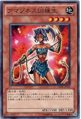 DREV-JP031 亞馬遜訓練生