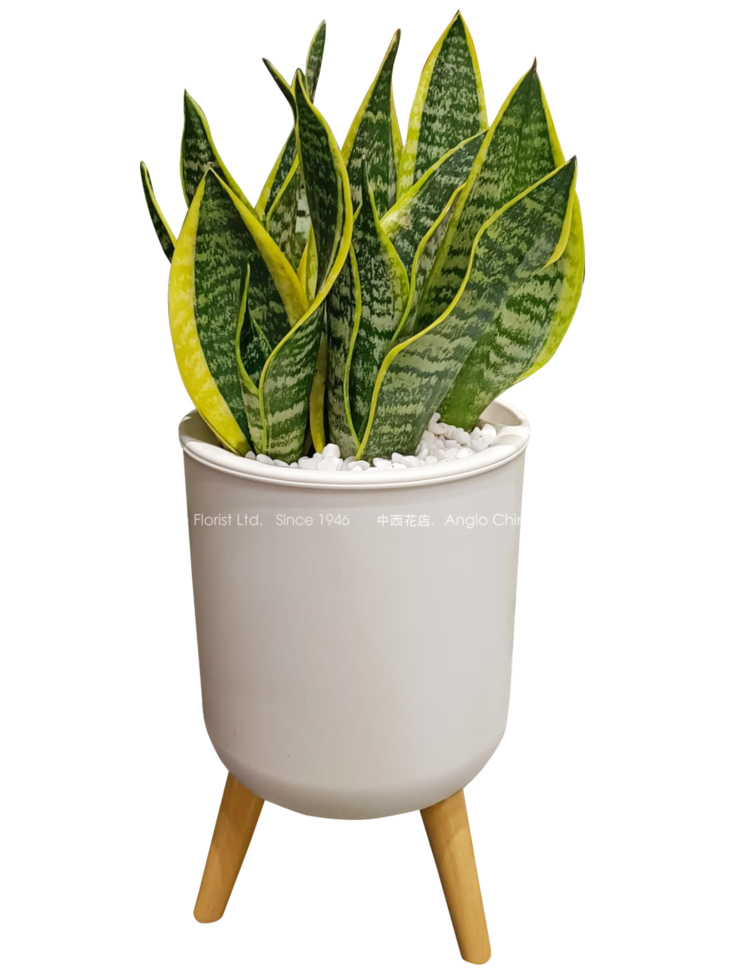 PL2201