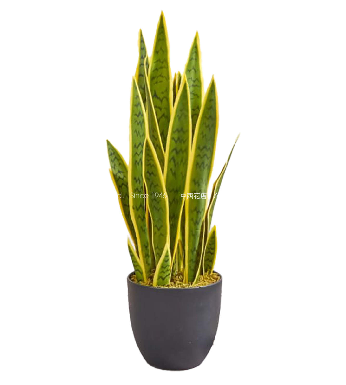PL2201