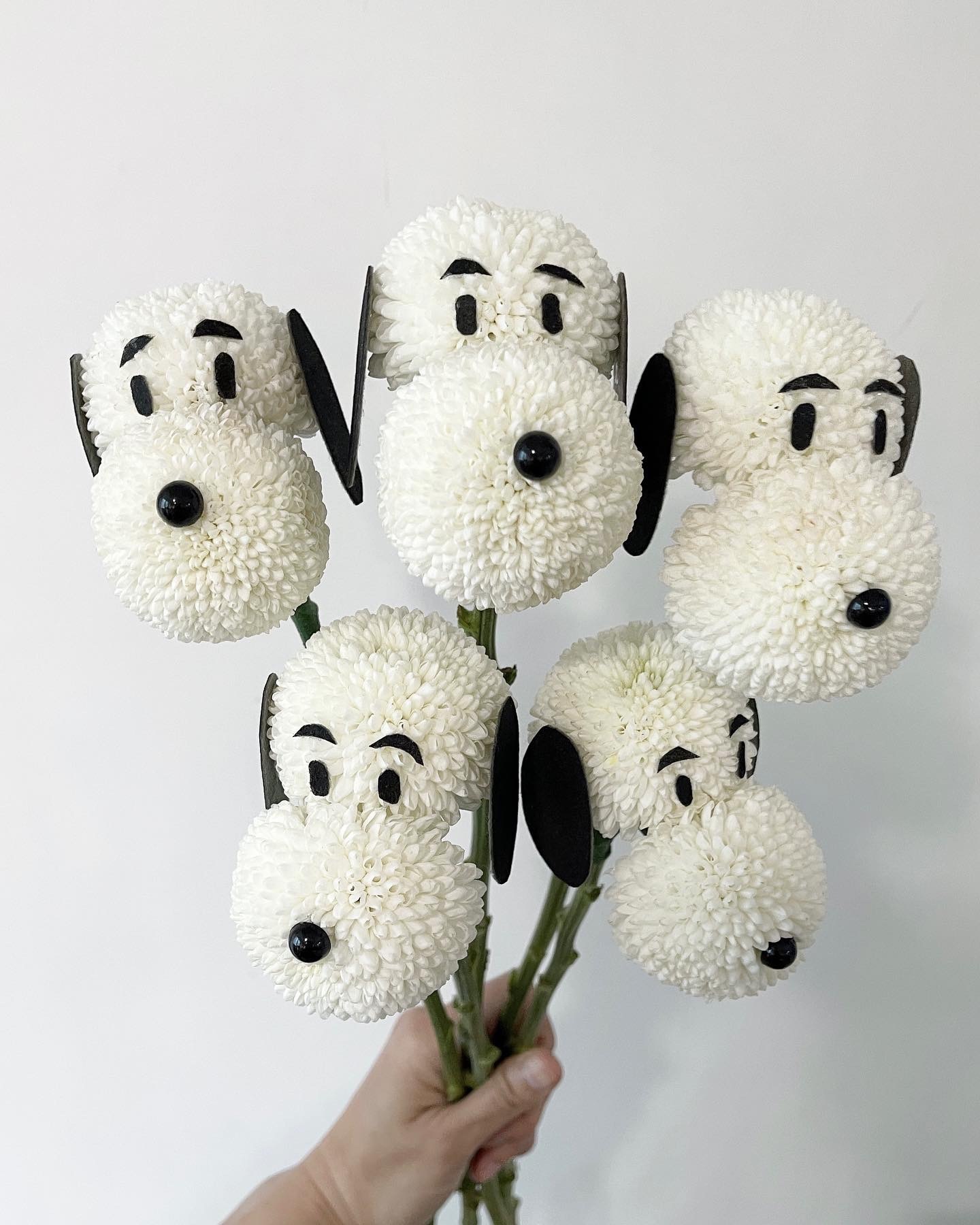 Snoopy Flower Bouquet | Best Flower Site