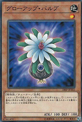 18SP-JP302(N/SR) 成長的鱗莖