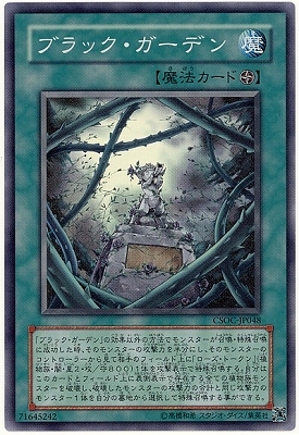 CSOC-JP048(SR) 黑色花園