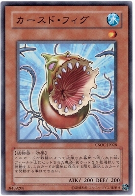 CSOC-JP028(NR) 被詛咒的無花果