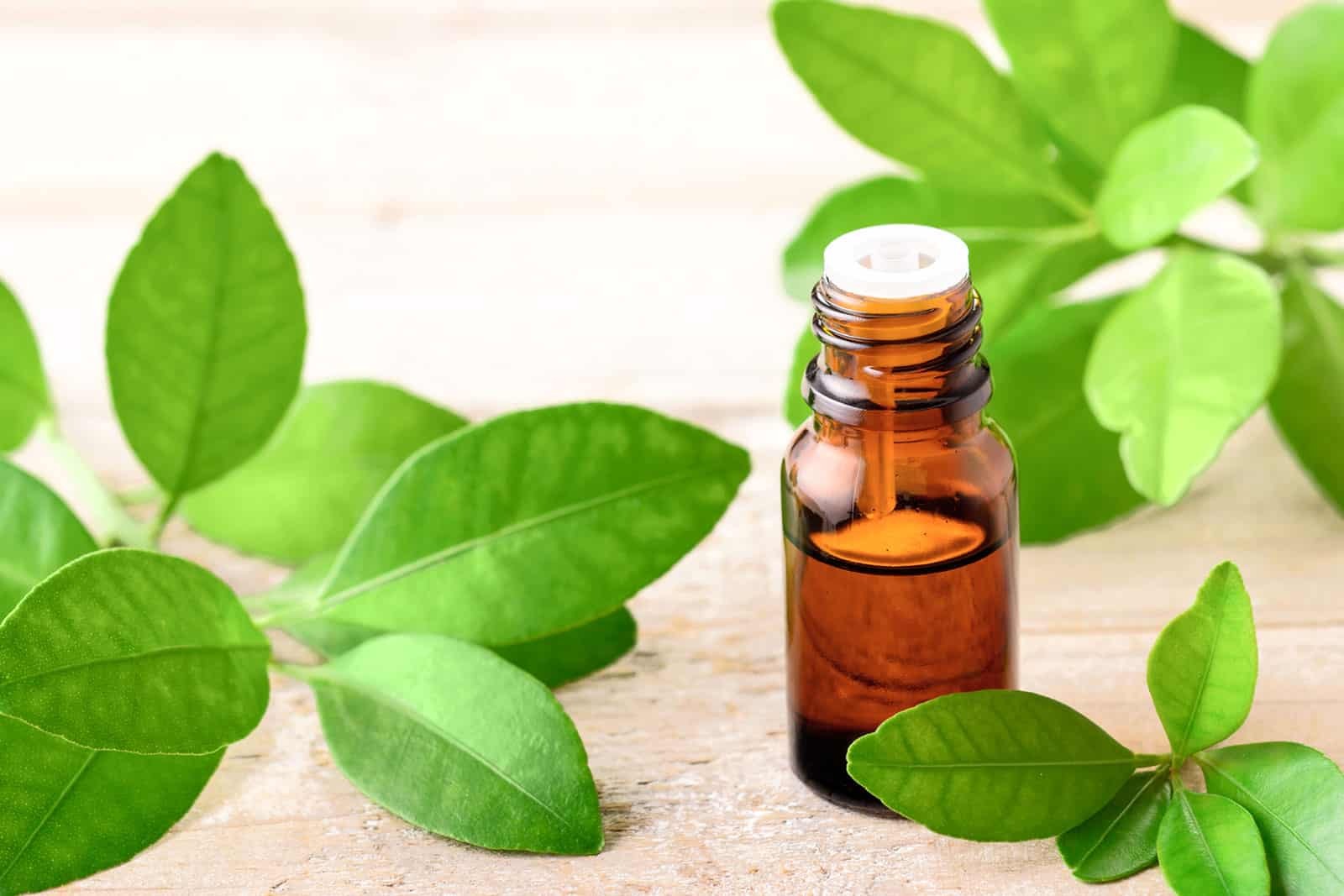 Petitgrain Essential Oil
