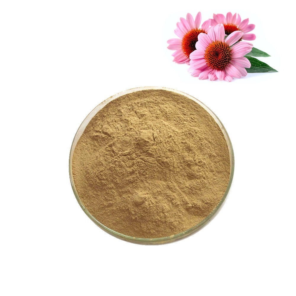 Purple Coneflower Powder