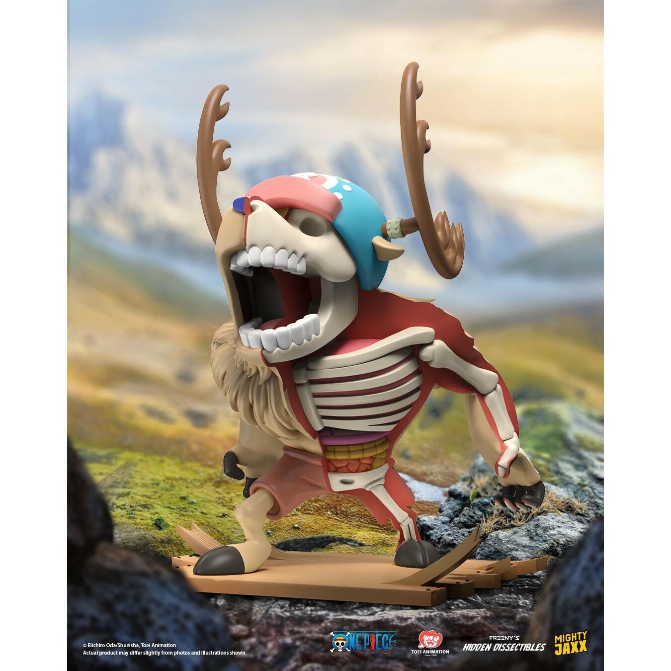 半解剖系列：7 One Piece Monster Point