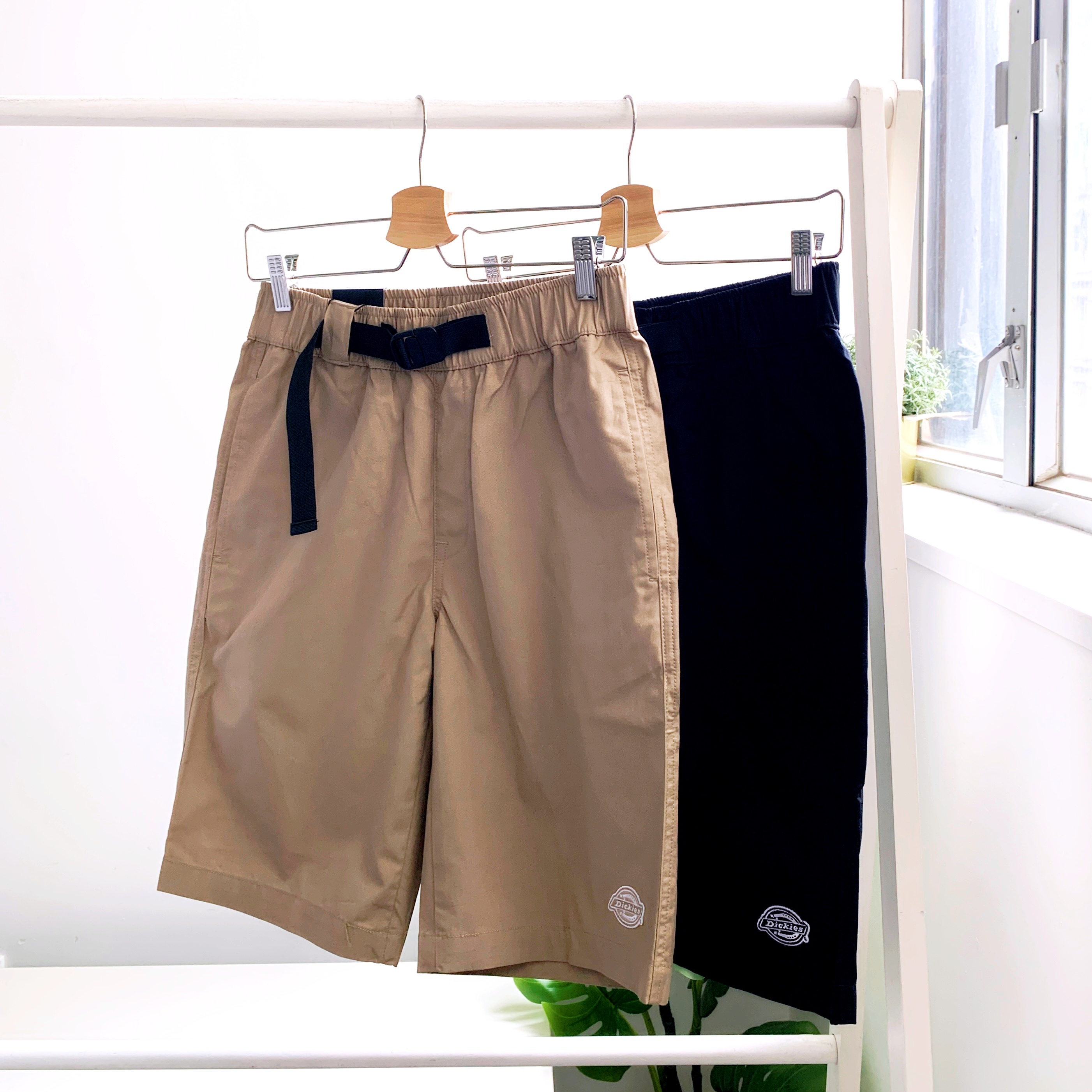 Dickies Woven Shorts