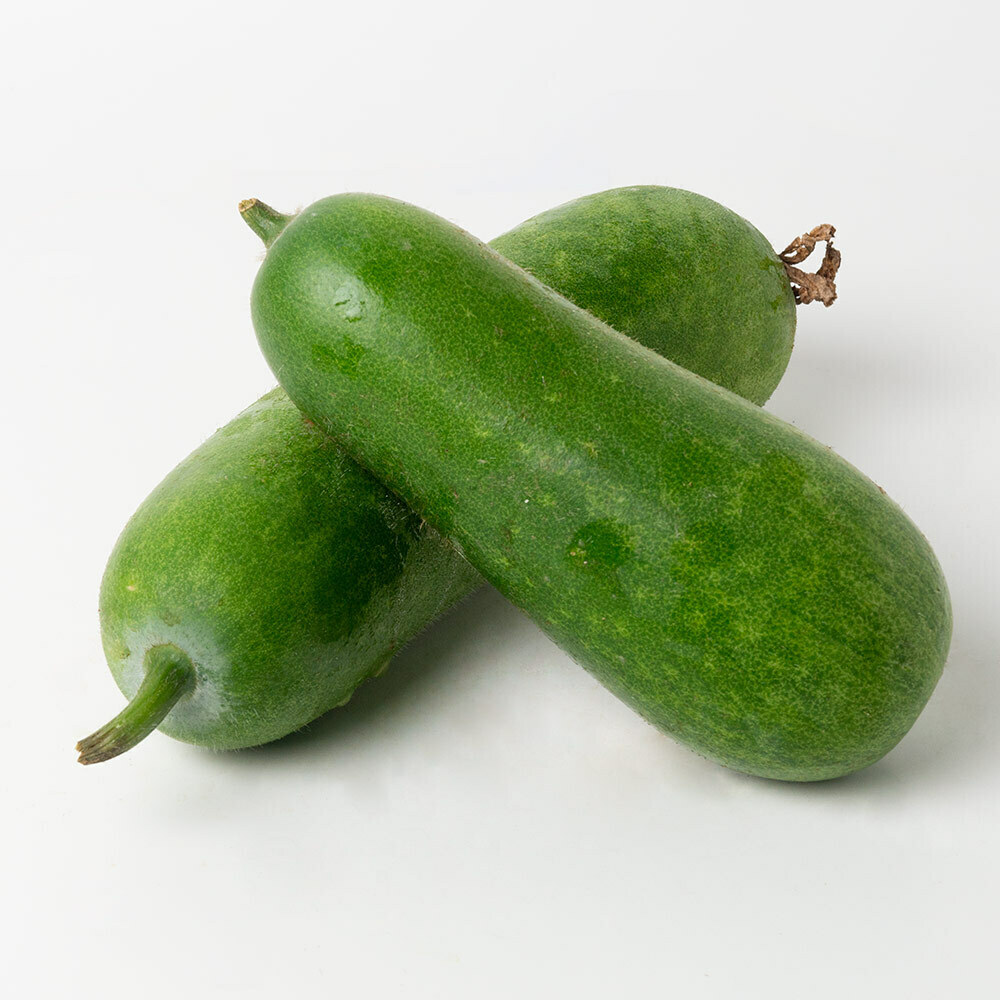 Hairy Gourd