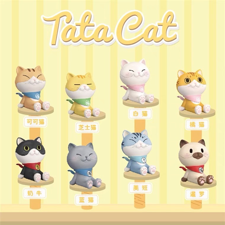 OTH247 TATA CAT BLIND BOX