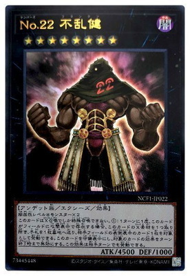 NCF1-JP022(UR) No.22 不亂健