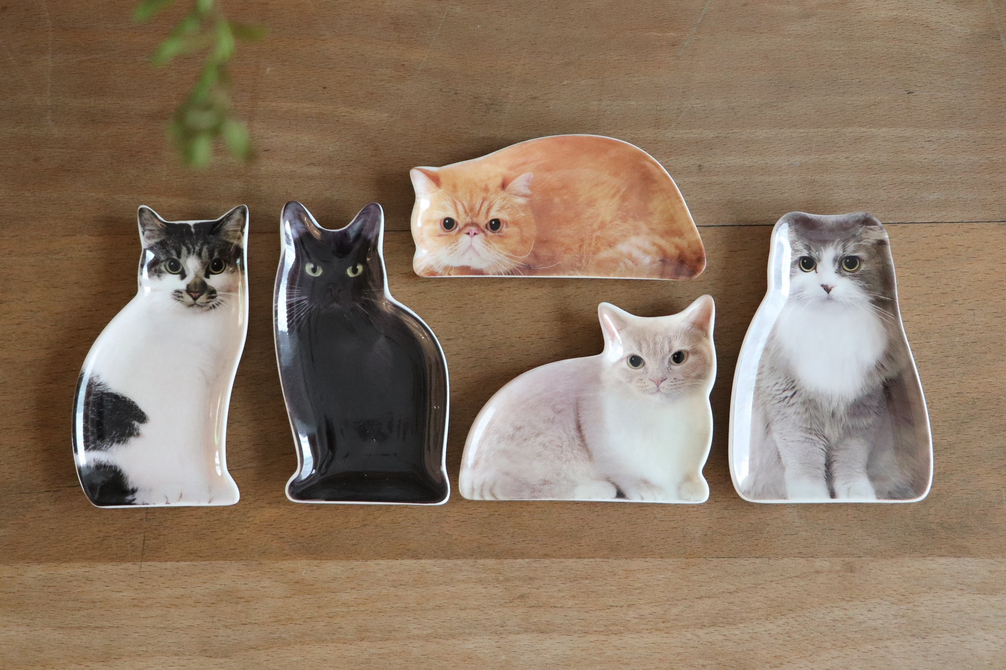 Decole Oh my Cats! 貓咪豆皿