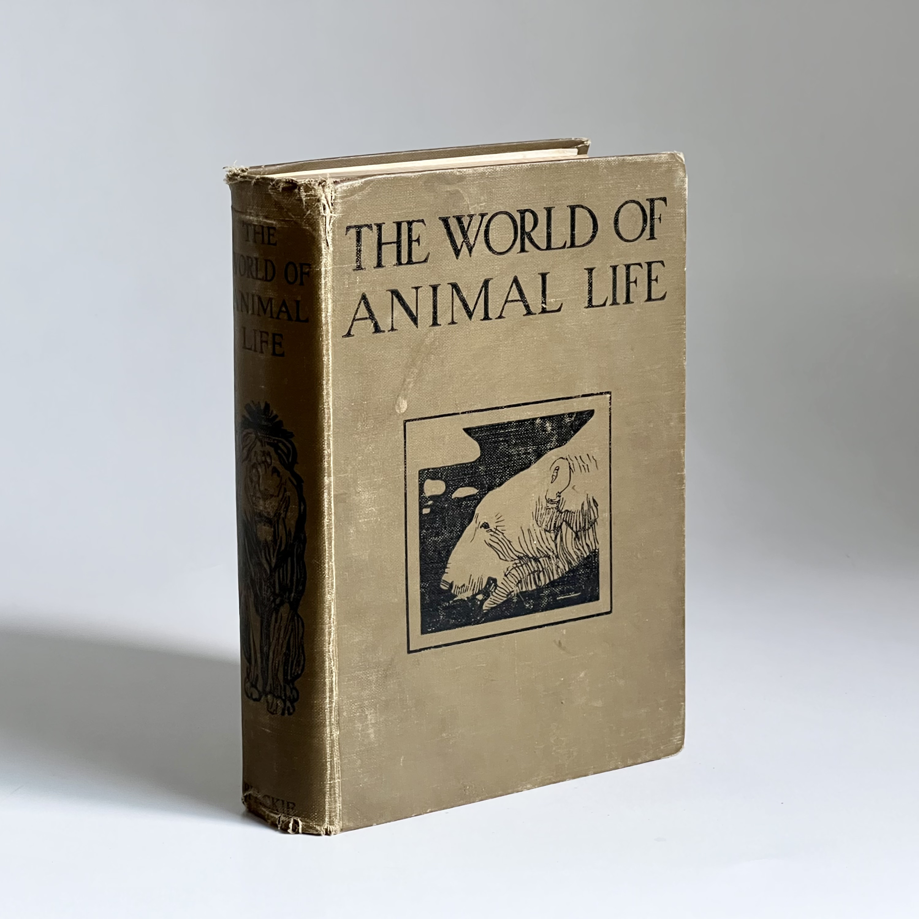 古董書 THE WORLD OF ANIMAL LIFE