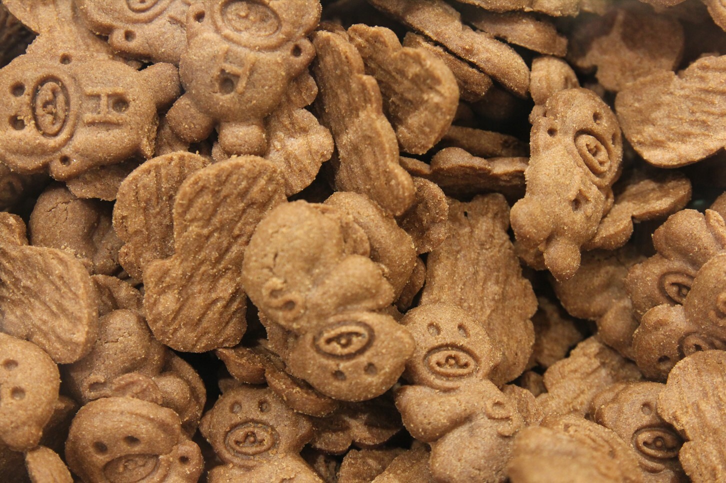 Biscuit Teddy Bear