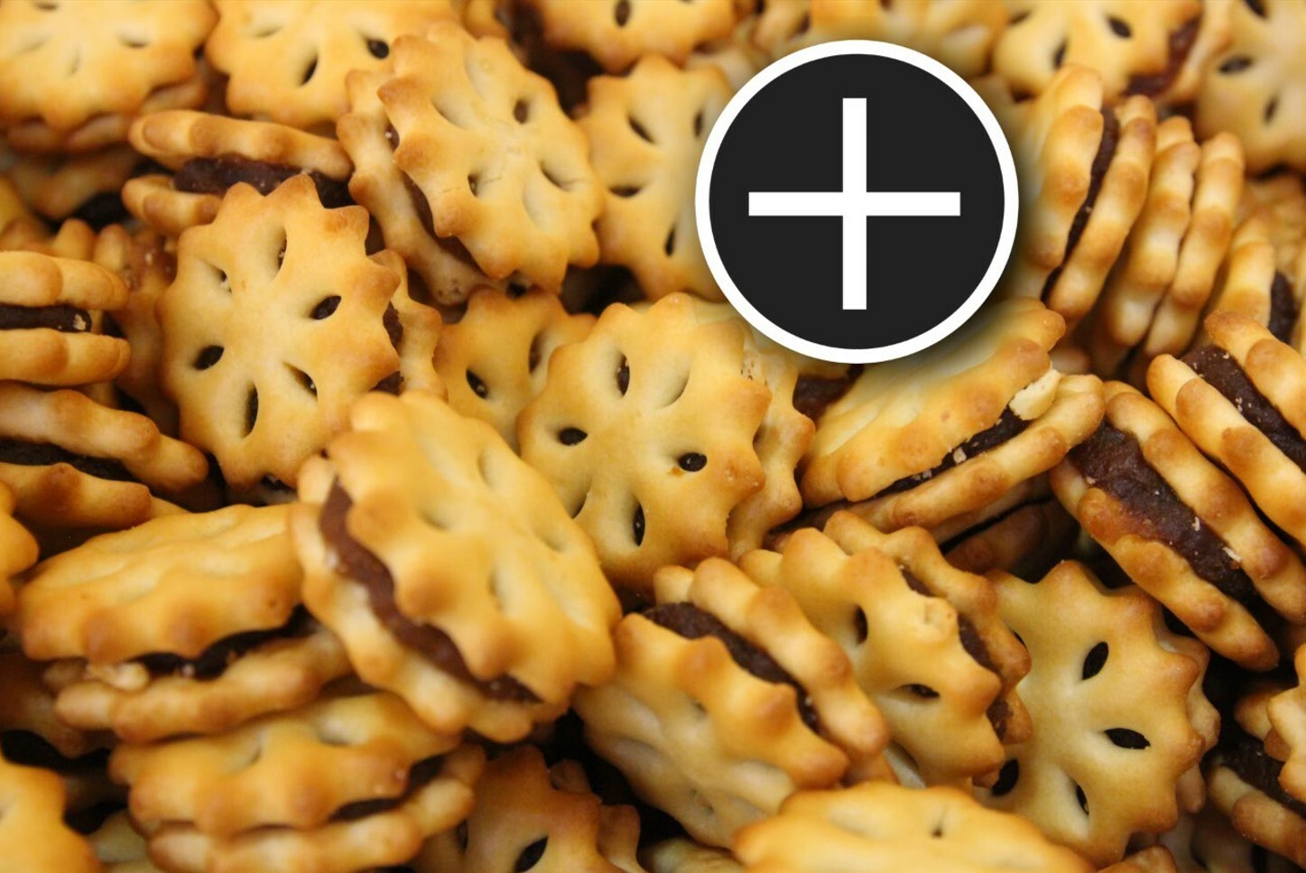 Golden Pineapple Biscuit / Coconut Pineapple Biscuit