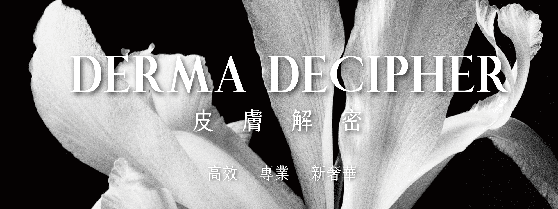 DERMA DECIPHER 皮膚解密