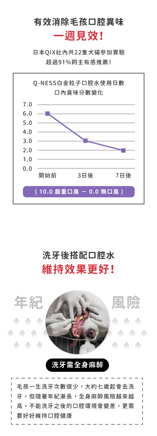Q-NESS 白金粒子口腔水 [犬用／貓用] - afpet