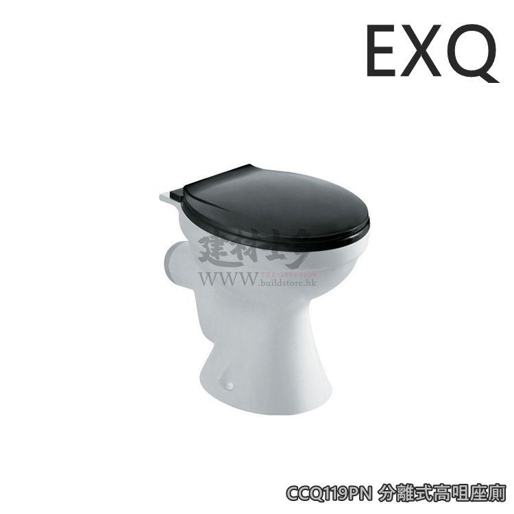 EXQ - CCQ119PN 傳統分離式高咀座廁