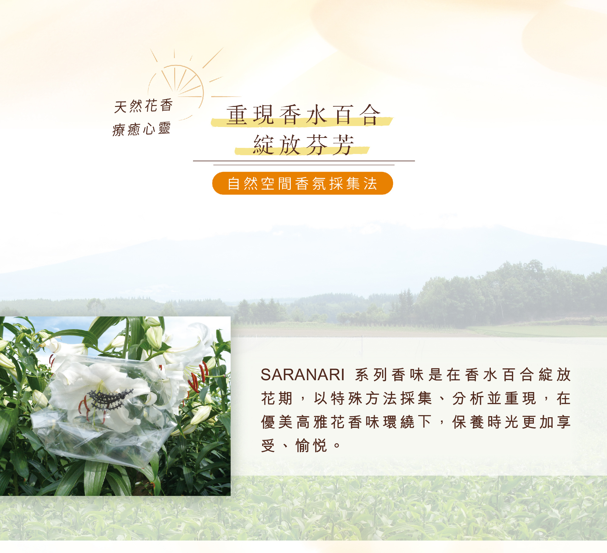 Saranari 抗光老化