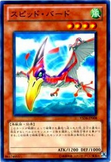 YSD6-JP008 尖嘴鳥