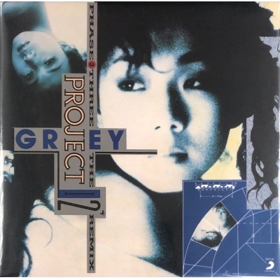 林憶蓮 Sandy Lam - Project Grey Phase Three The 12" REM...