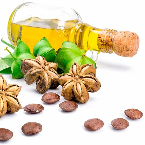 Organic Extra Virgin Sacha Inchi Oil
